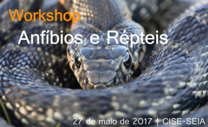 WORKSHOP DE ANFÍBIOS E RÉPTEIS